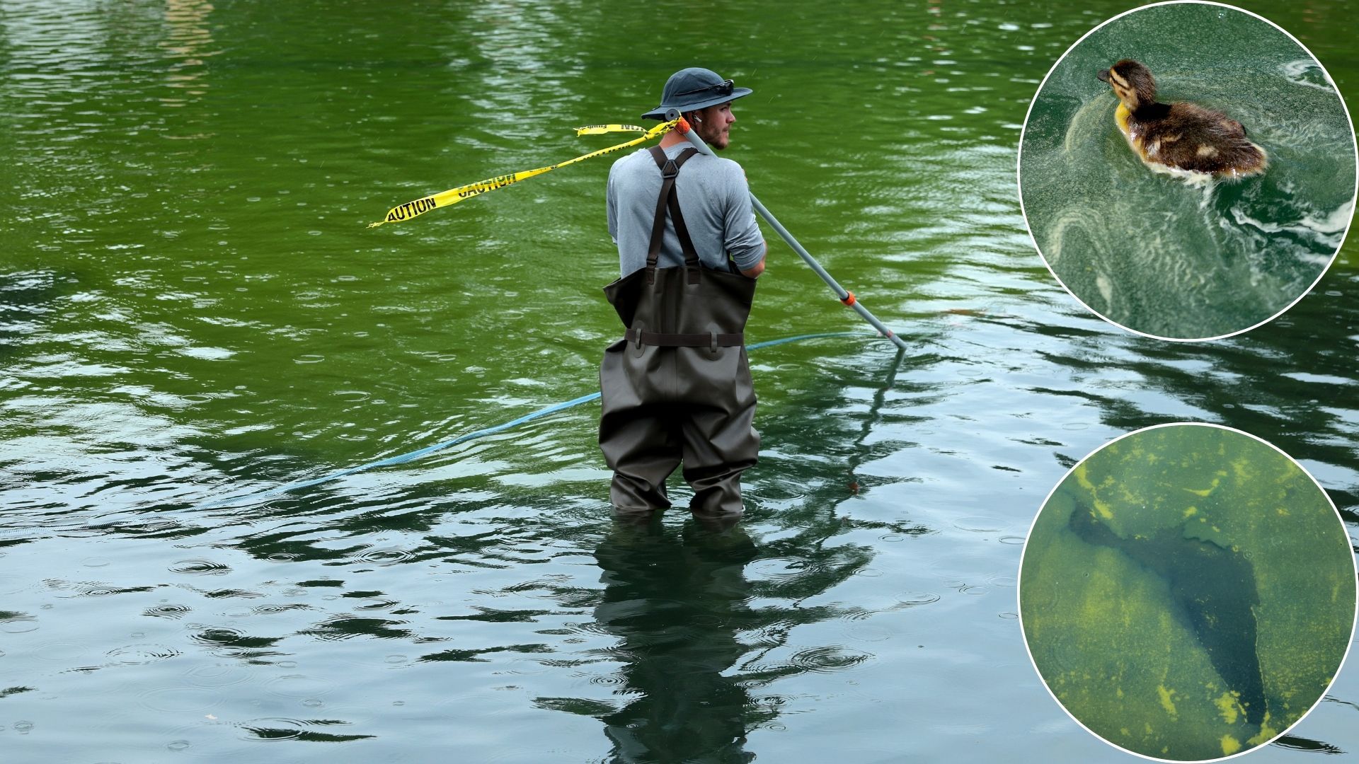 No-bid contracts, green algae and peeling paint: The growing reflecting ...