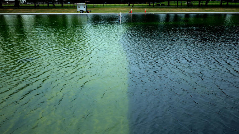 No-bid contracts, green algae and peeling paint: The growing reflecting ...
