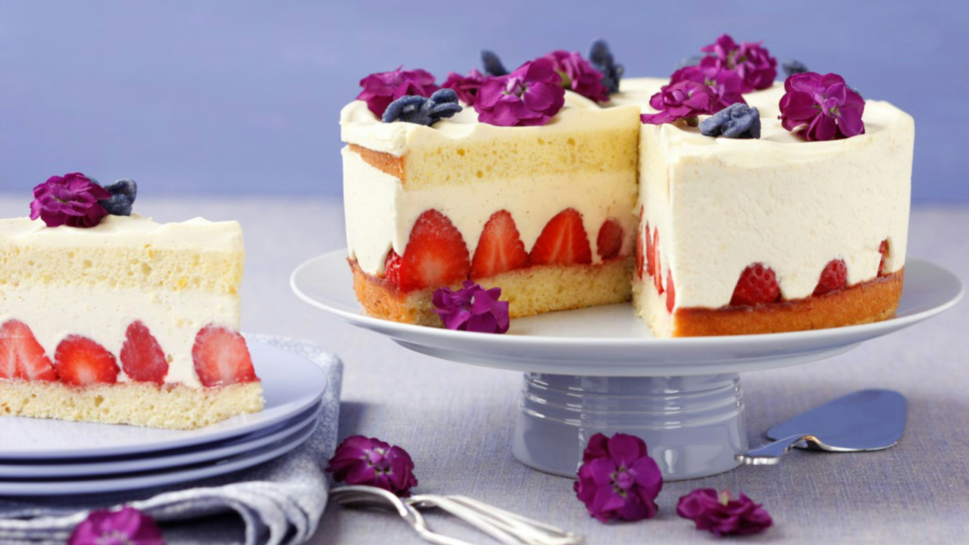 Erdbeer-Vanillecreme-Torte für das Kuchen-Picknick