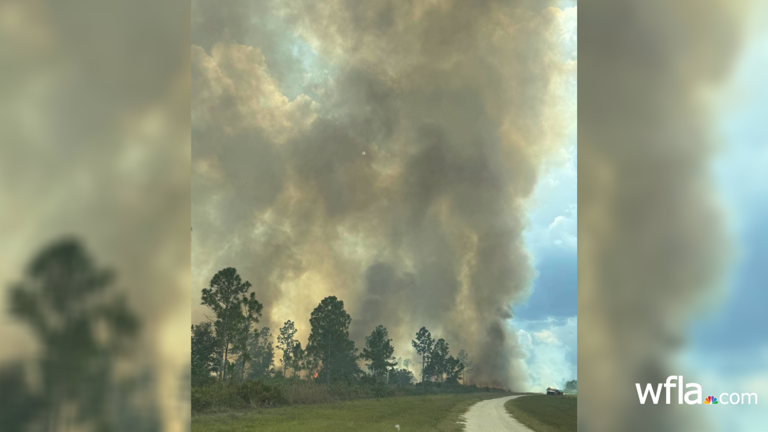 Multiple agencies battle 850-acre brush fire in North Port