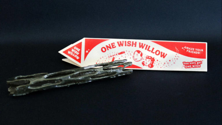The viral 'One Wish Willow' trend explained: Why the internet is ...