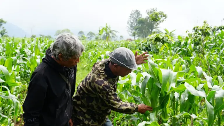 Badan Bank Tanah kelola 34.806 hektare lahan, dosen UGM tegaskan bukan ...
