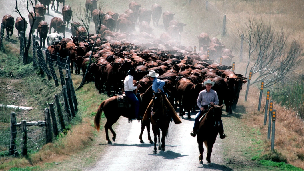 12 cowboy jokes and puns from the Wild West