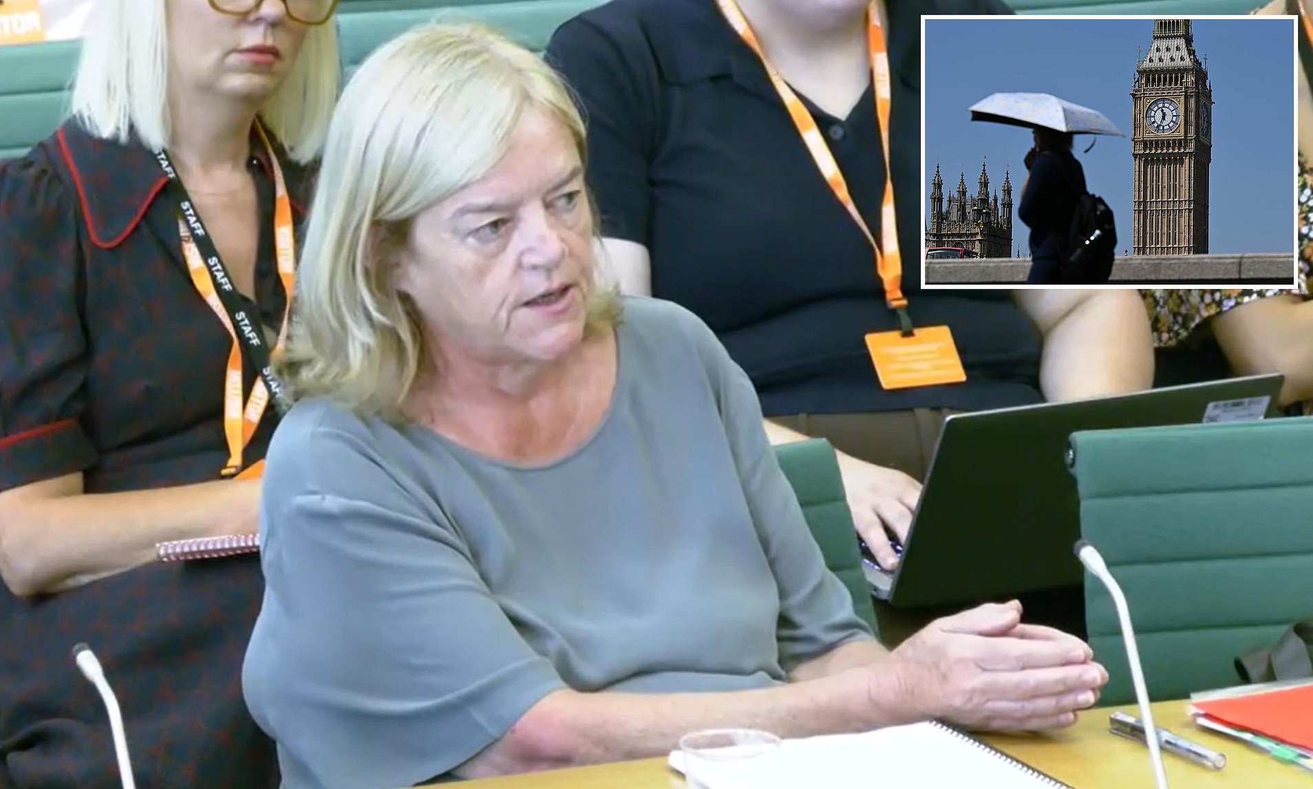 UK heatwave could see 'neglected' elderly patients die of thirst on NHS ...