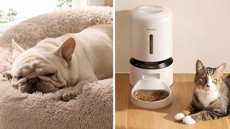 The 5-star animal essentials pet parents love are on sale at Prime Day