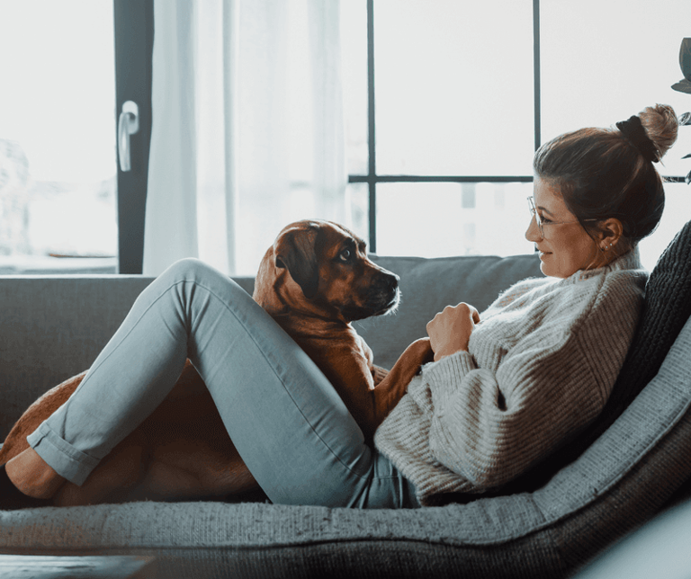 Ever wonder why your dog picked you? These 10 traits may explain it ...