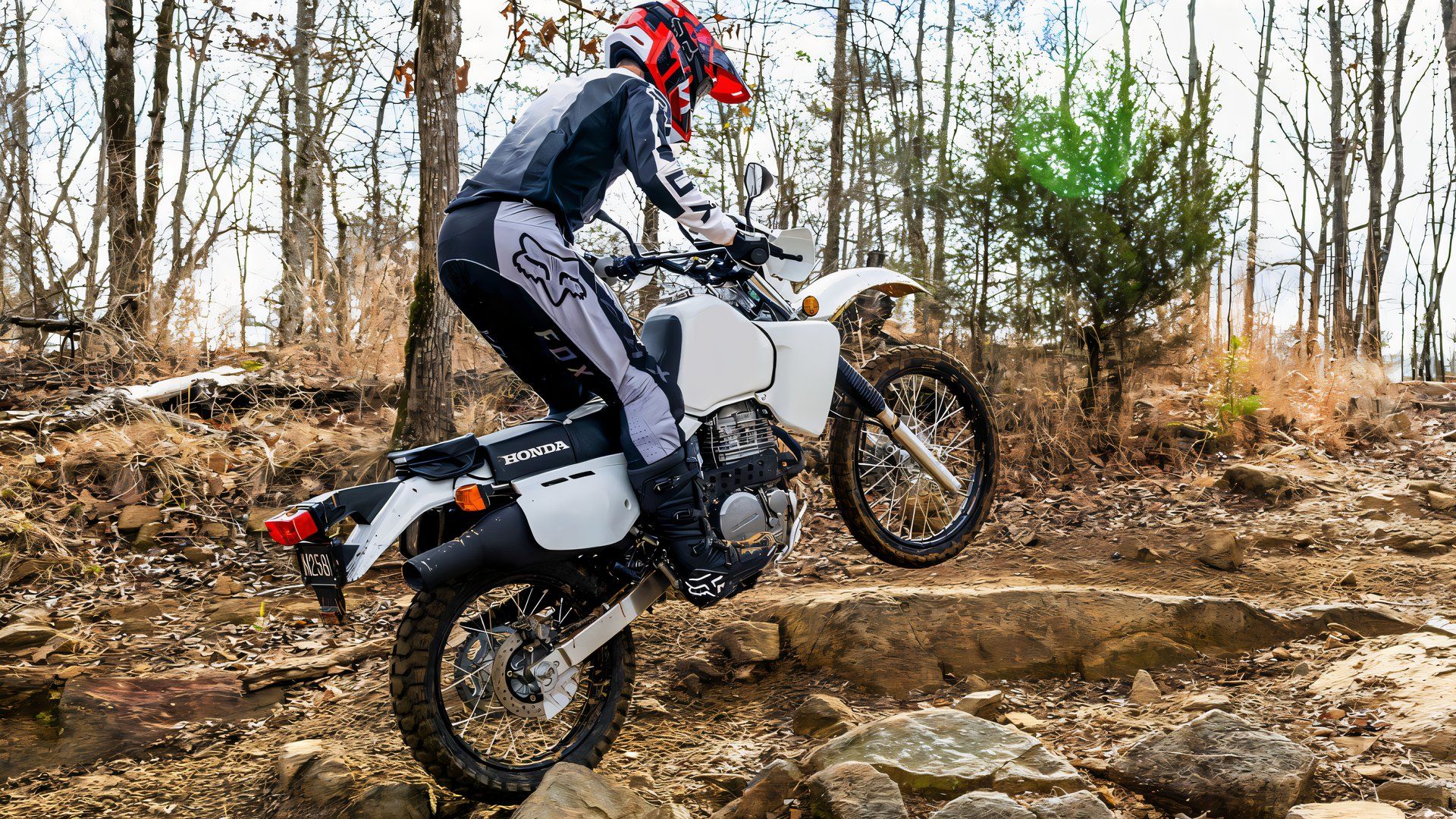 The Honda motorcycle that quietly dominates long-term ownership