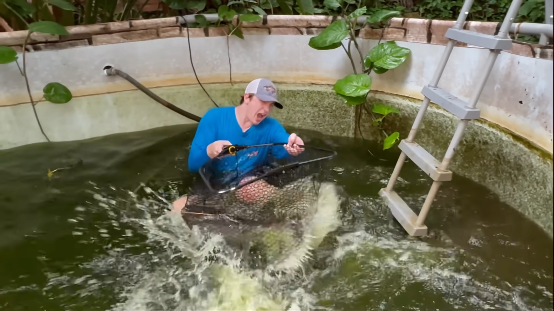 He found his fish dead in the pond, then a 5-foot monster started attacking