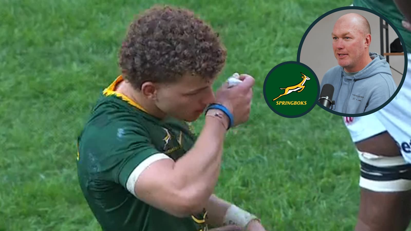 ‘A young Willie le Roux’ – Springboks legends hail new ‘golden ...