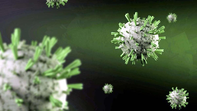 First Ebola case in France after doctor returning from Congo tests positive