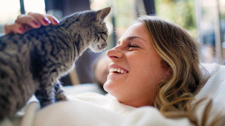 4 Birth Dates Who Make the Best Cat Parents