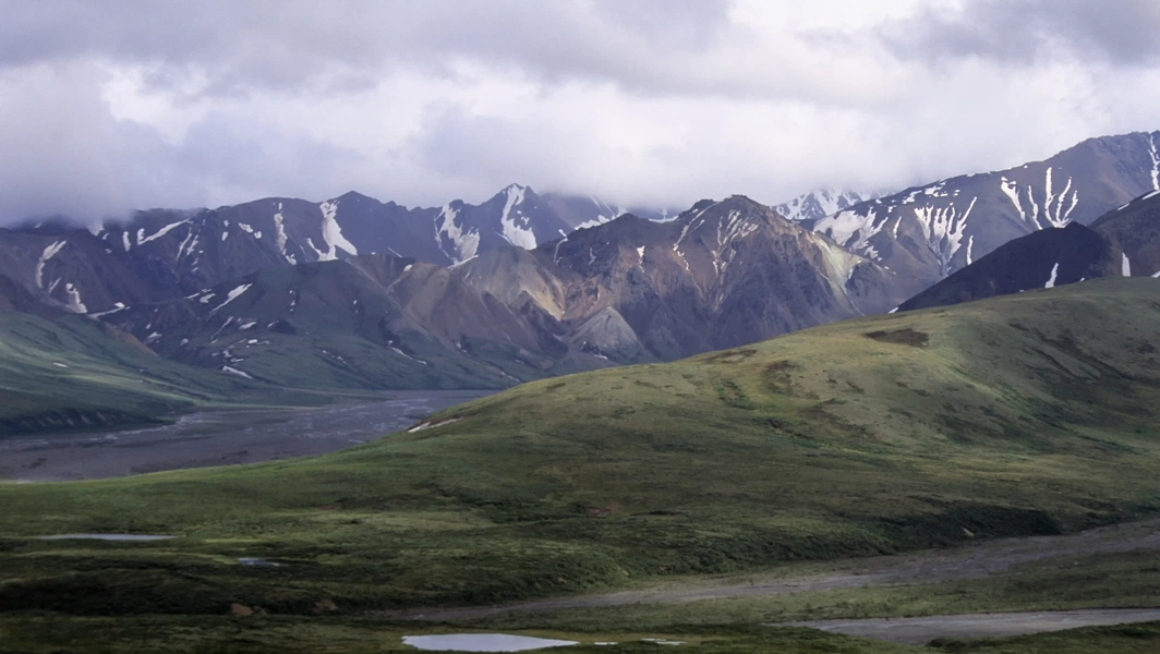 7 US places without native venomous snakes