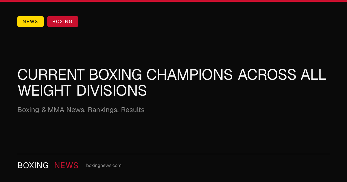 Current boxing champions across all weight divisions