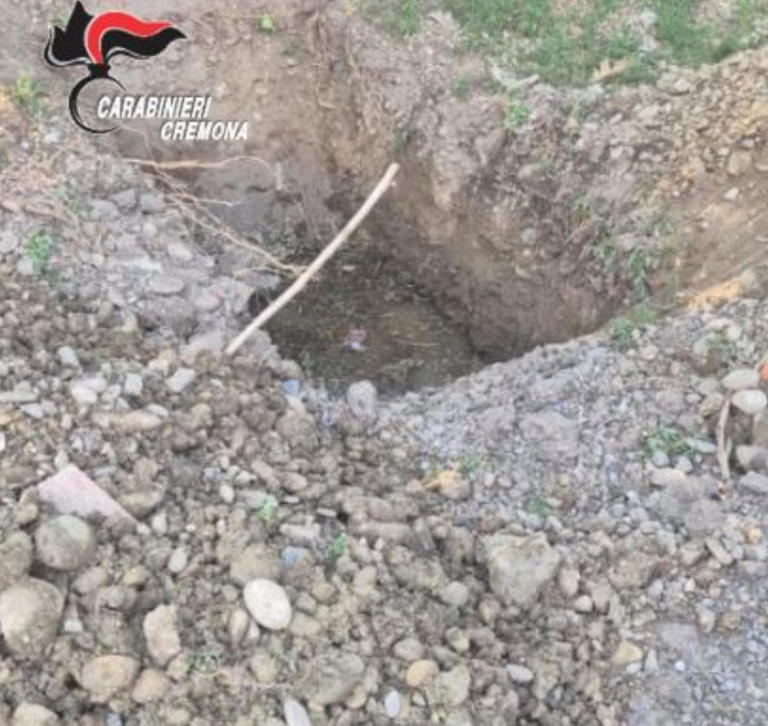 Uccide i suoi cani perché abbiano troppo e li seppellisce in giardino ...