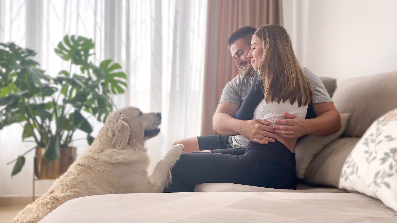 Golden retriever politely interrupts mom and dad’s hug
