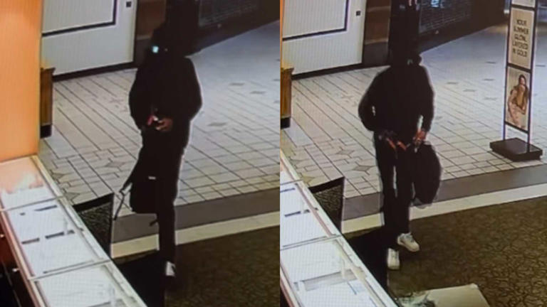 Suspect smashes display case, points gun at Kay Jewelers employees ...