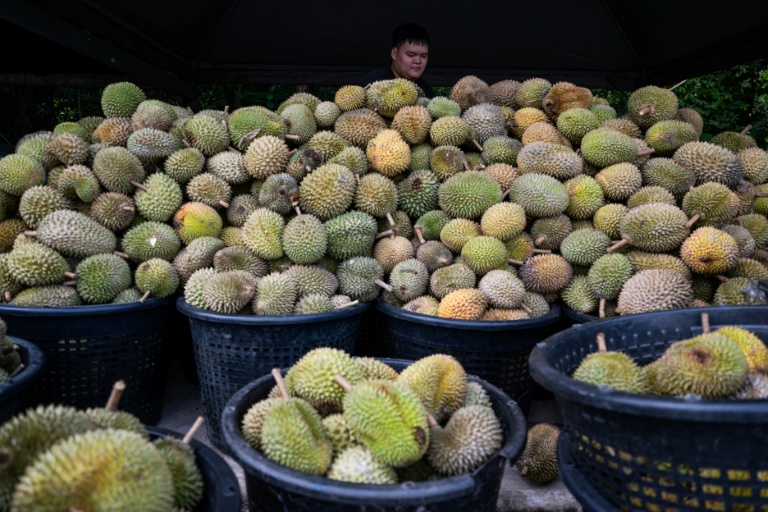 Malaysians feast on pungent delicacy as durian 'tsunami' slashes prices