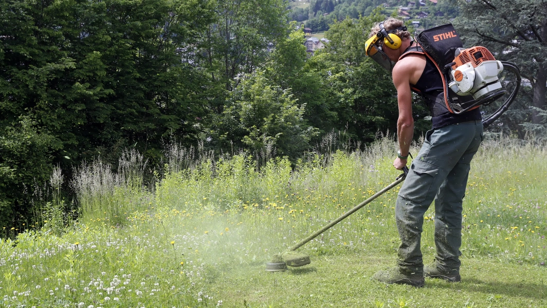 Choosing the right trimmer for your yard work