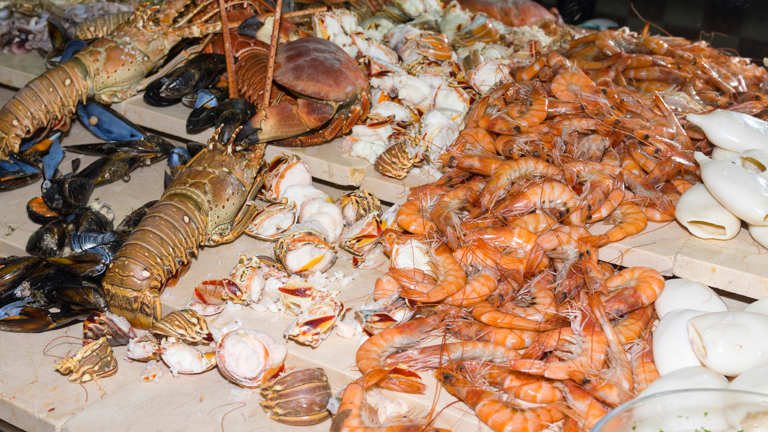 Por qué los calamares, sepias o pulpos no eran considerados mariscos en ...
