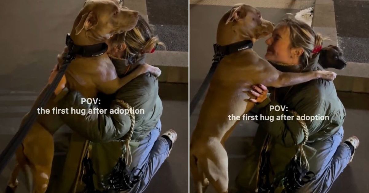 Rescue dog clings to mom as they hug after adoption like she's afraid ...