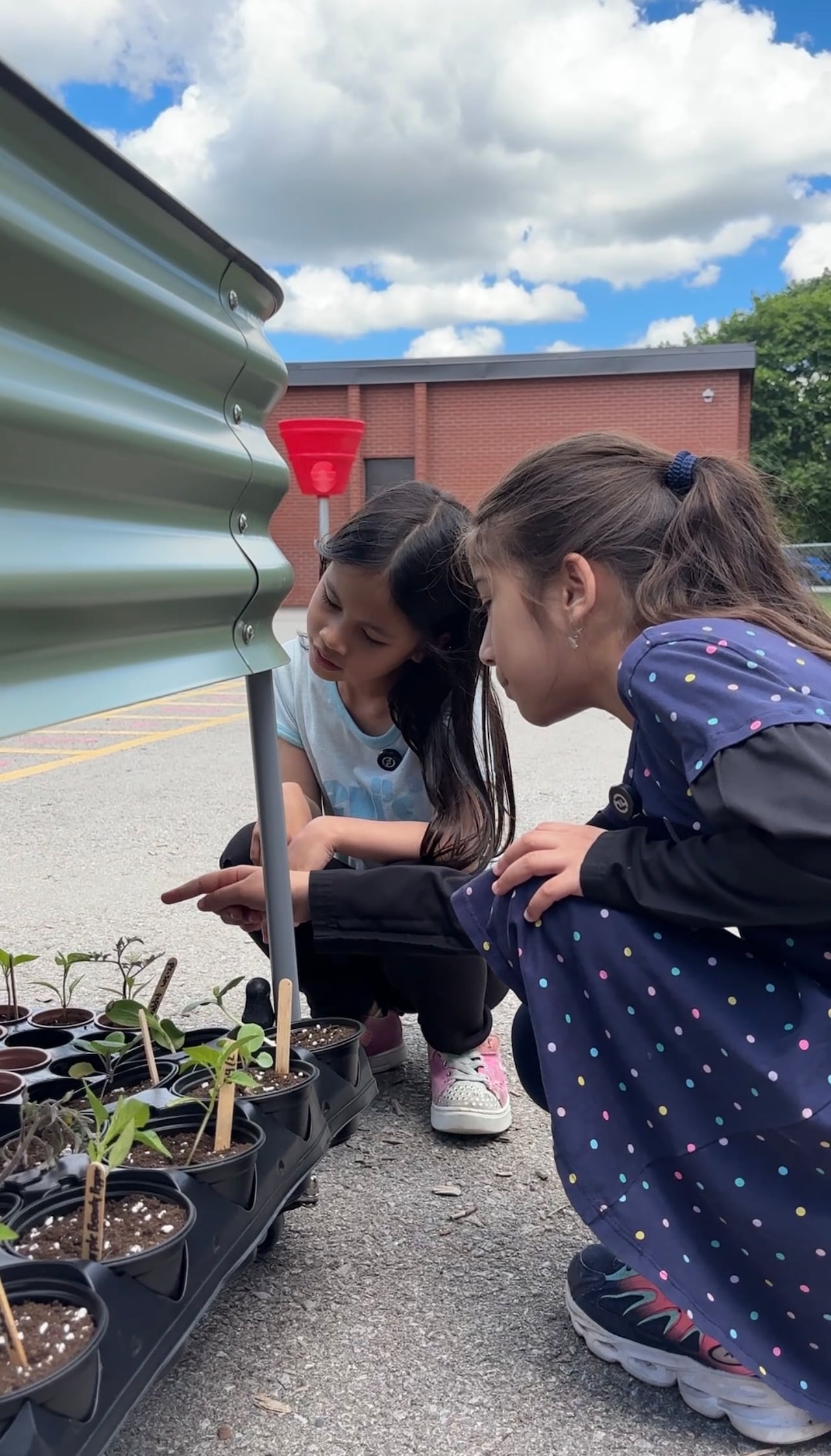 London elementary students learn science through school's community garden