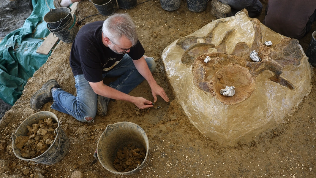 6 remarkable fossil discoveries of recent years
