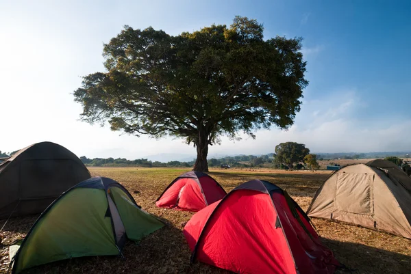 14 traditional safari tents in national parks