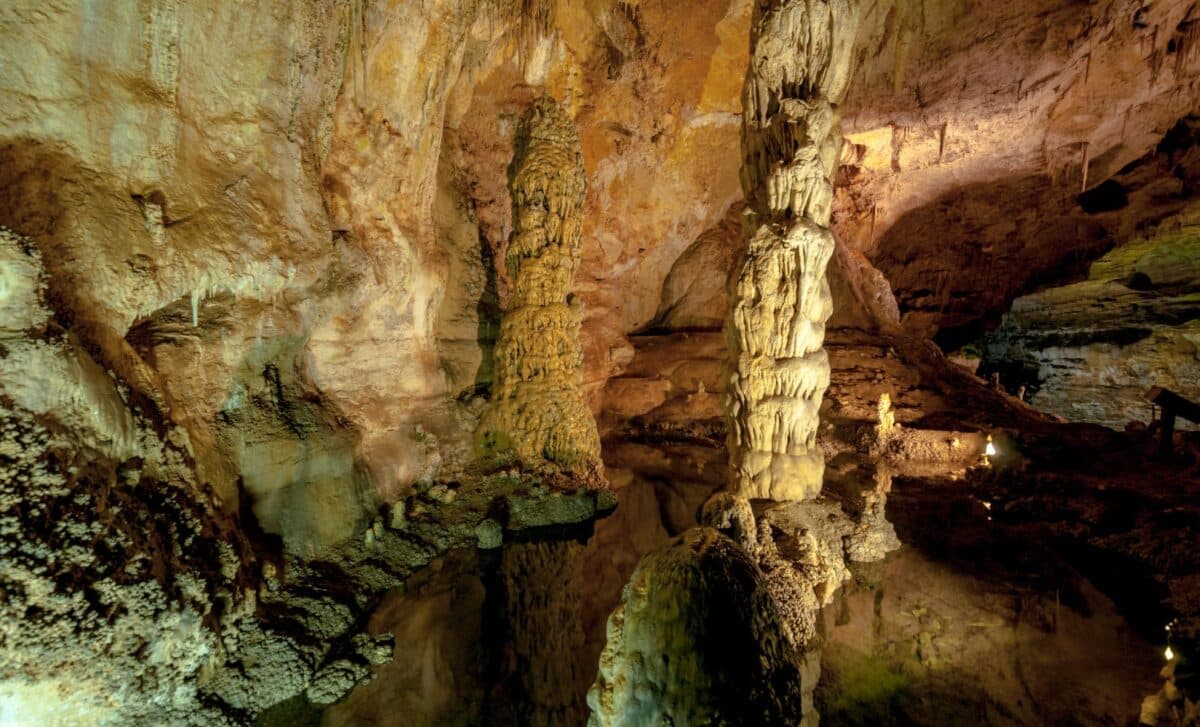 Researchers entered a cave sealed off for 5 million years and found 20 ...
