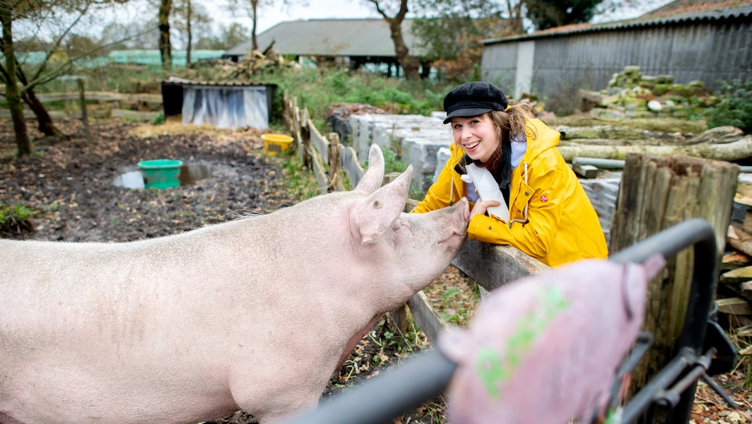 11 remarkable and amusing animal behaviors