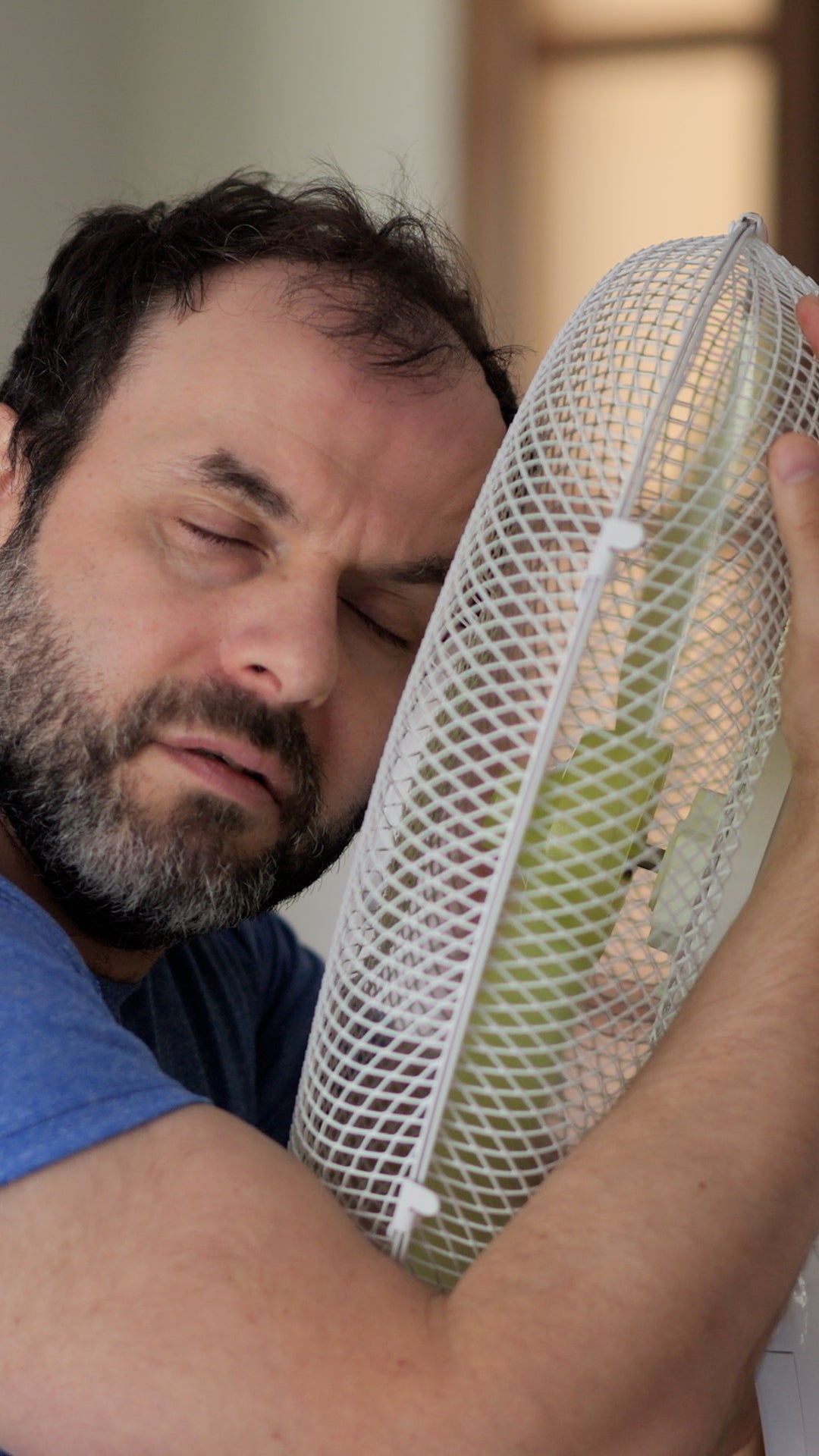 Fan: friend or foe in a heat wave?