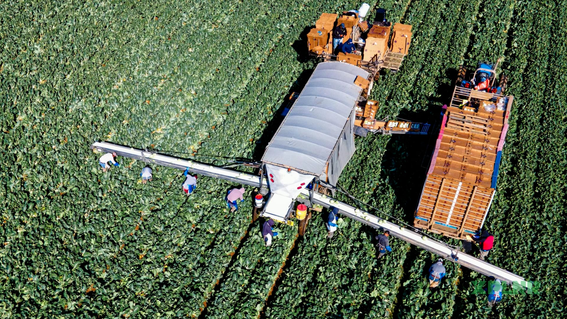 How important is immigrant labor for the US economy in 2026?