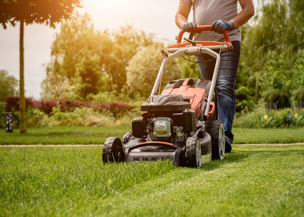250 years of lawn care: How America grew its greatest obsession