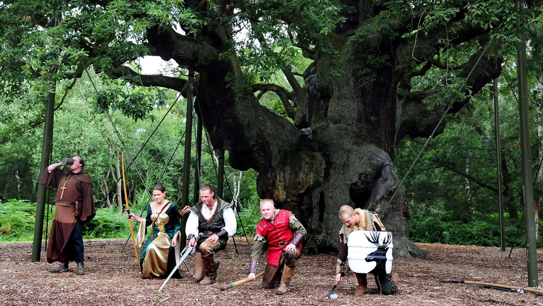 Major Oak’s death signals cultural and ecological loss