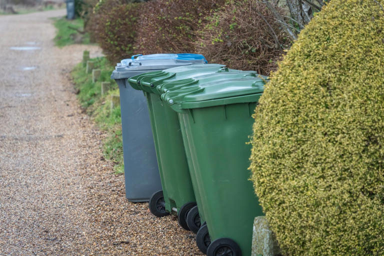 Bin collection times are changing during the heatwave — see the full ...