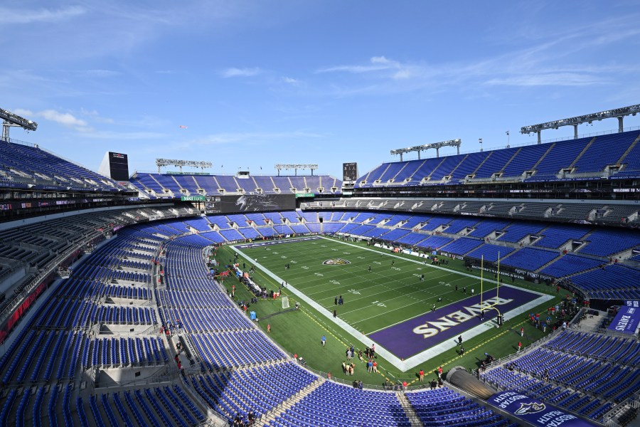 New 'Voice of the Ravens' selected by organization