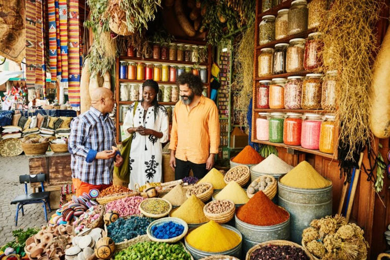 North vs. East vs. West vs. Southern Africa: How to choose where to go ...