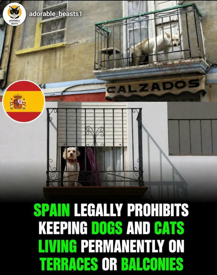 35 amazing stories and facts about highly misunderstood animals