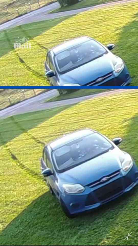 Amazon driver leaves tire tracks across freshly cut lawn