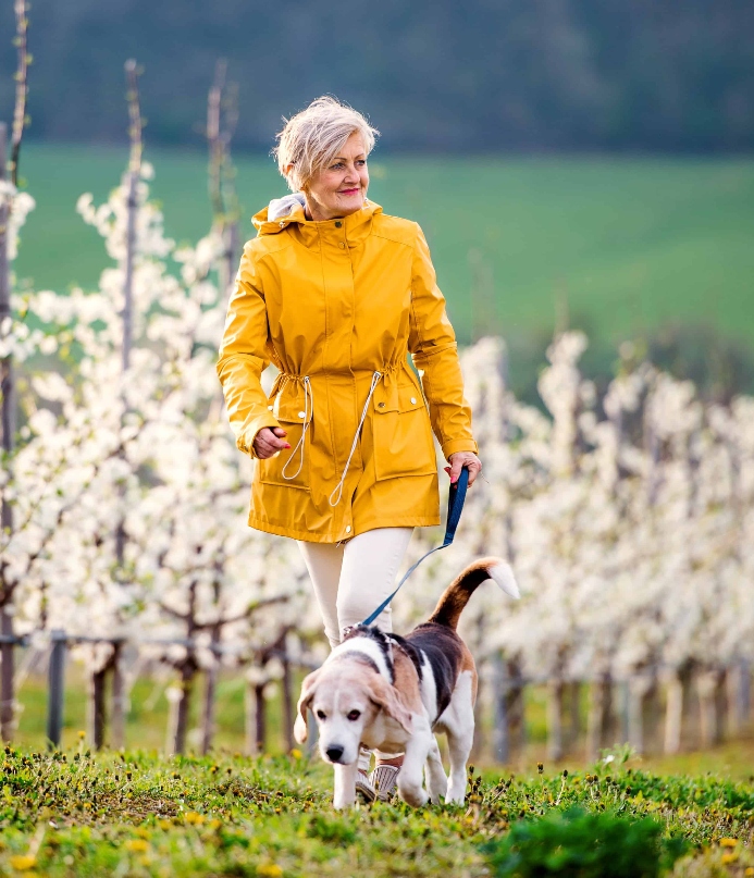 Your senior dog wants to run this spring: Here’s how to safely let them