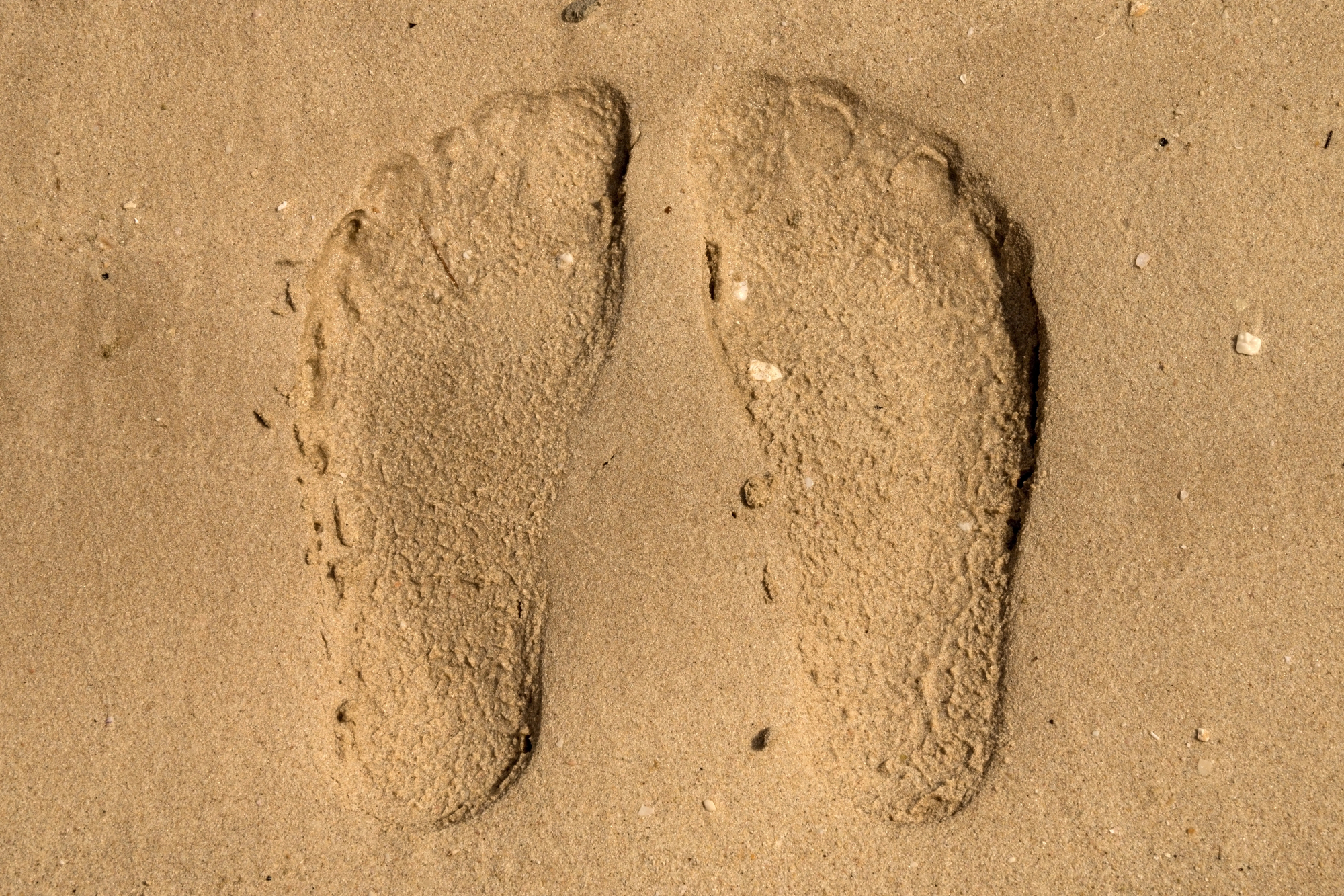 Why standard units of measurement have such bizarre origins