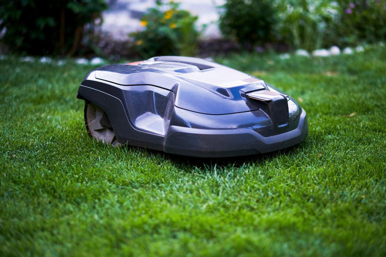 250 years of lawn care: How America grew its greatest obsession
