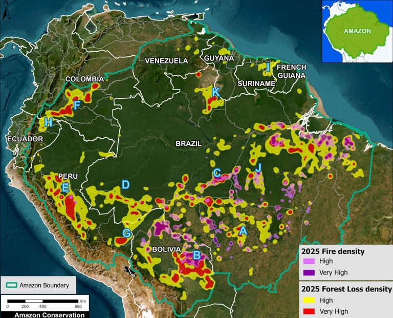 New analysis breaks down 2025 Amazon deforestation, with good news and ...