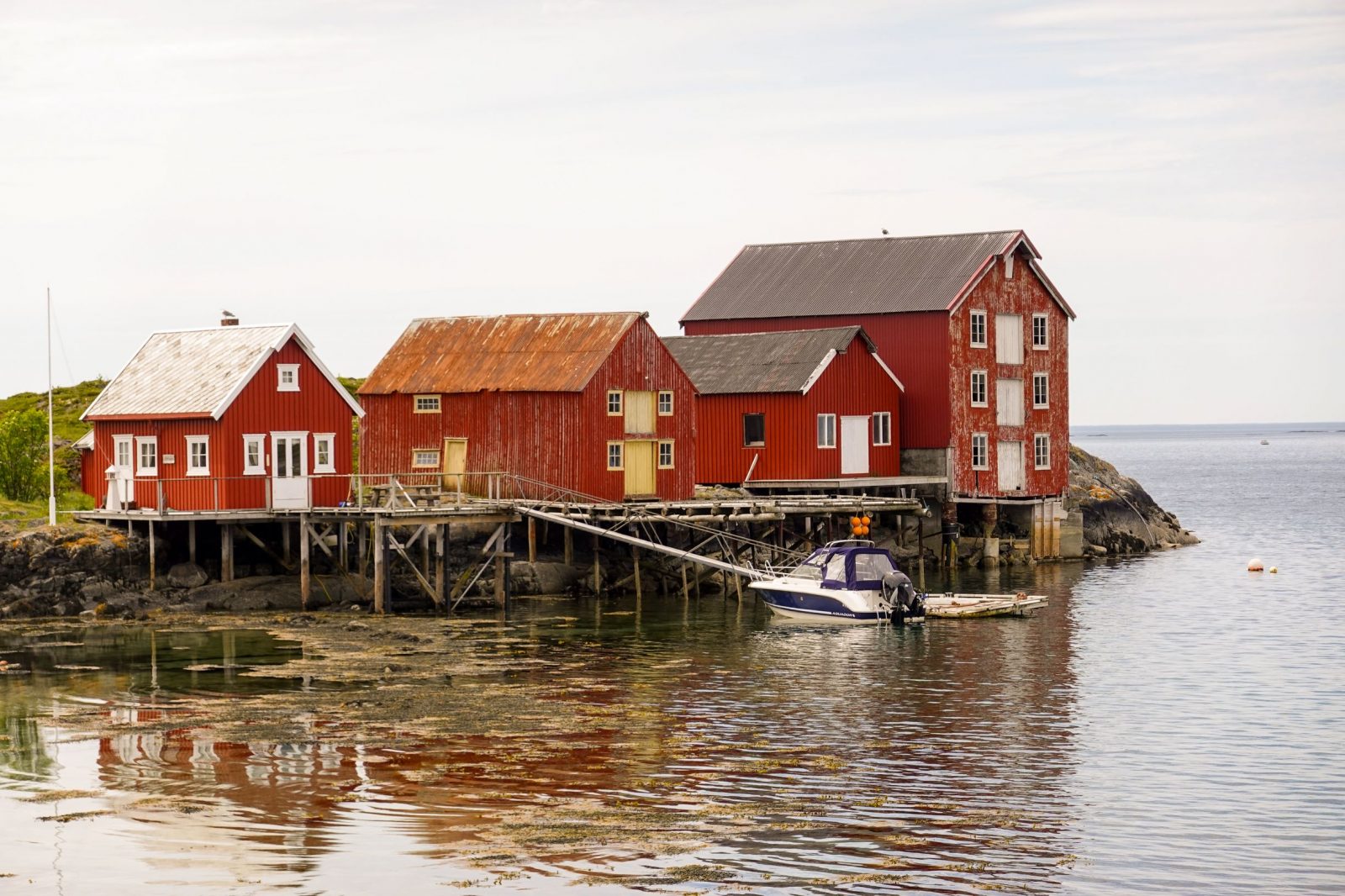 Which countries have the most single-occupancy households?