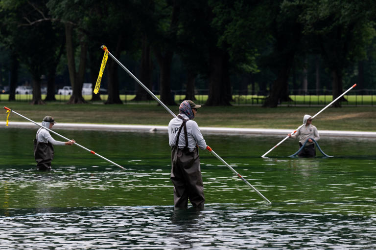 Firm rejected ‘unfeasible’ Trump reflecting pool job