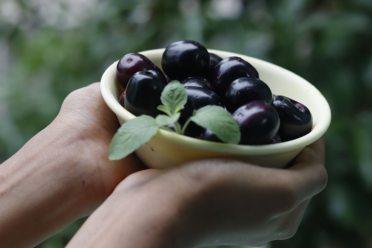 Have fresh jamun? Here’s how you can curate a morning-to-evening meal ...