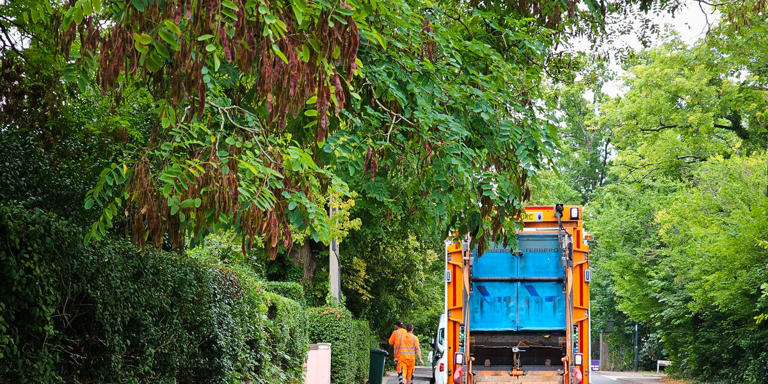Bin collection times are changing during the heatwave — see the full ...