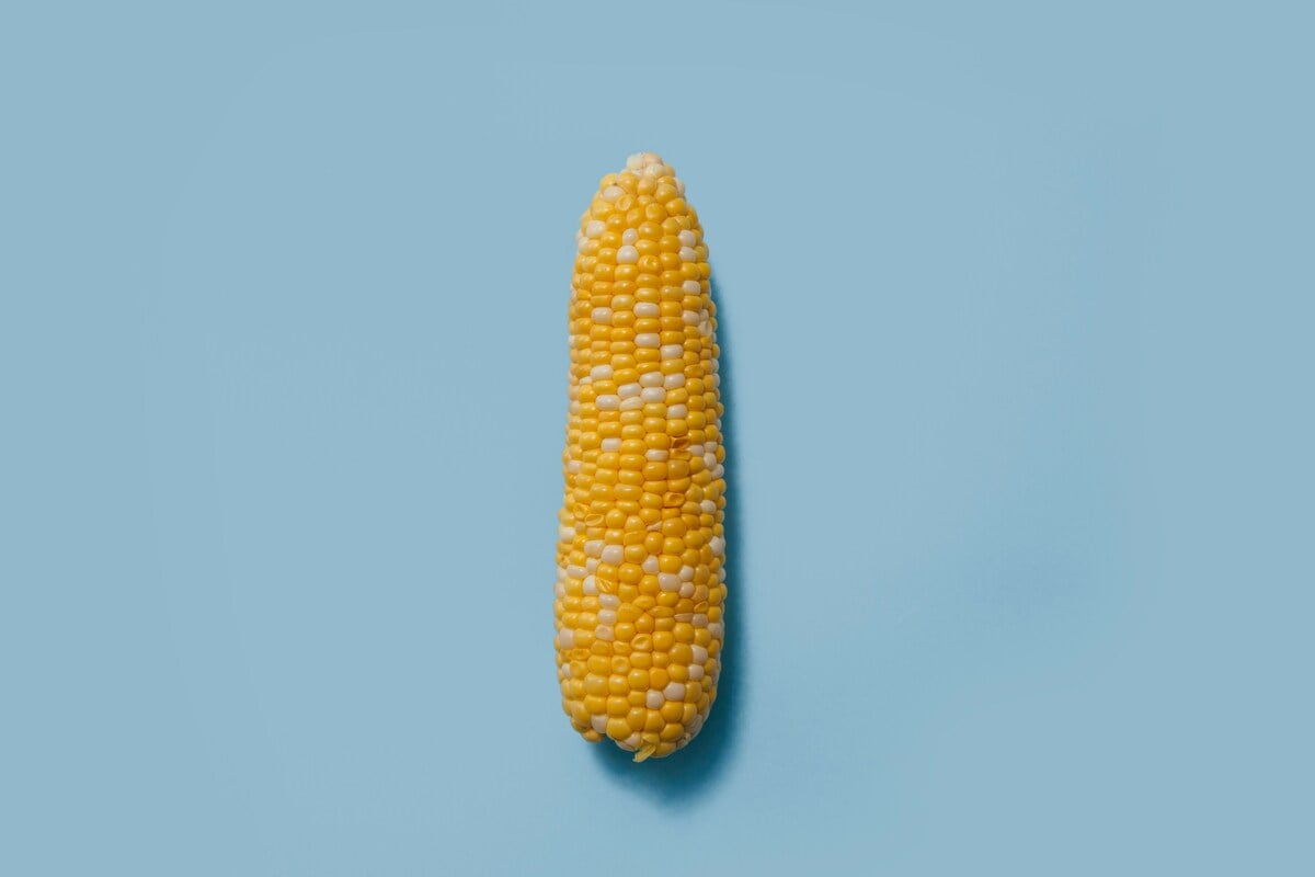 Is corn bad for you? A dietitian debunks 3 myths about fresh summer corn