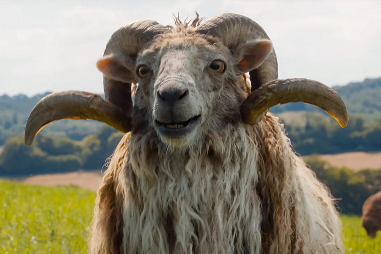 Hugh Jackman’s critically-acclaimed sheep movie ‘The Sheep Detectives ...