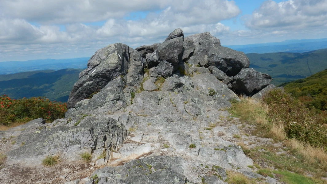 5 scenic short hikes in Virginia