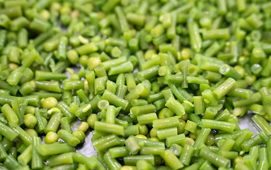 Sophie Macfie debuts plant-based green bean casserole alternative